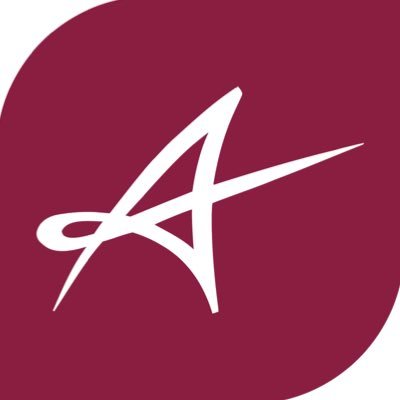 Ansell Lighting Org Chart + Executive Team