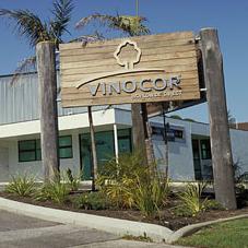 Org Chart Vinocor - The Official Board